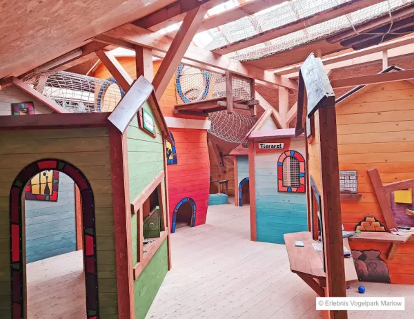 Vogelpark Marlow: Tiere ganz nah erleben